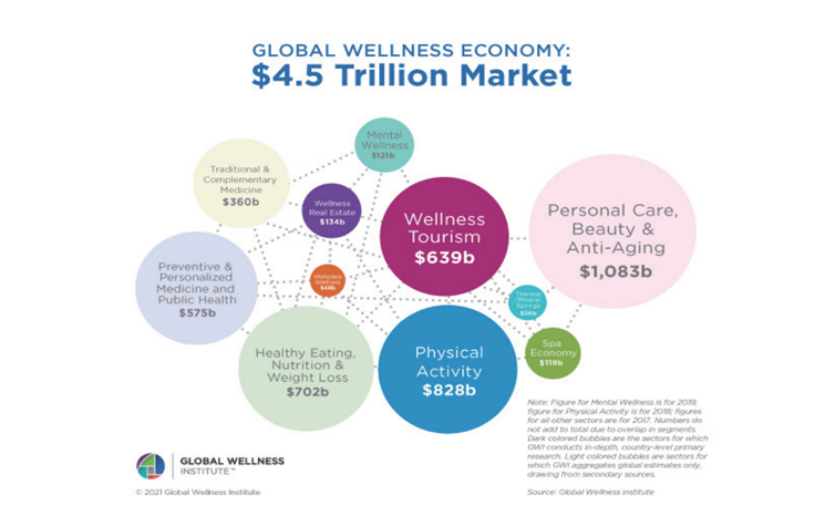 전 세계에 K-건강 솔루션을, 건강한 나를 위한 ‘웰니스’